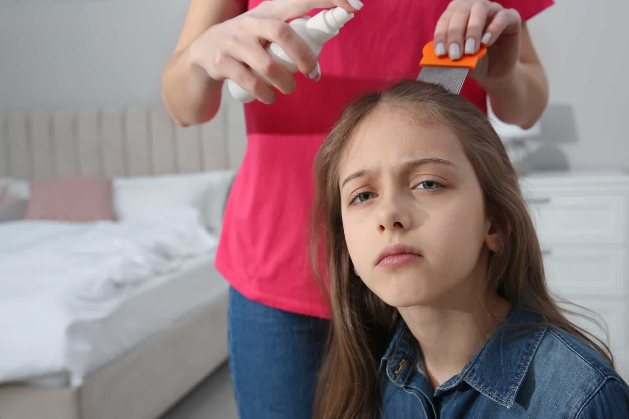 The Battle Against Lice: Home Treatments vs. Professional Clinics ...